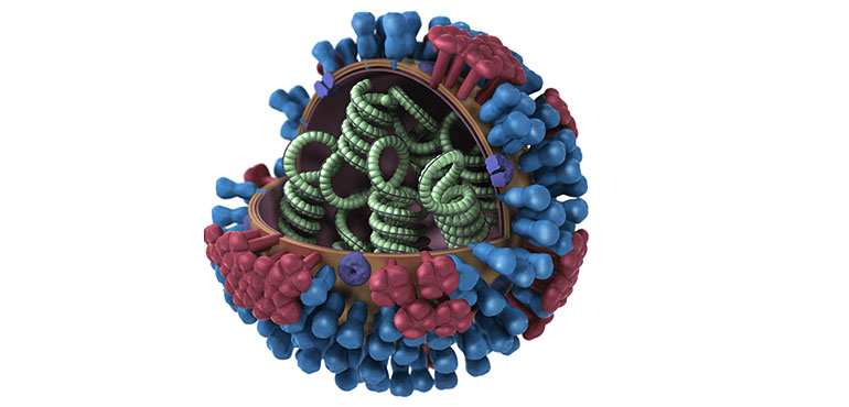 A, B, C, D: The Different Influenza Types | WeatherBug