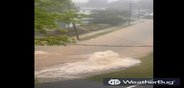 Video: Flooding Hits Halifax as Severe Weather Returns to Nova Scotia ...
