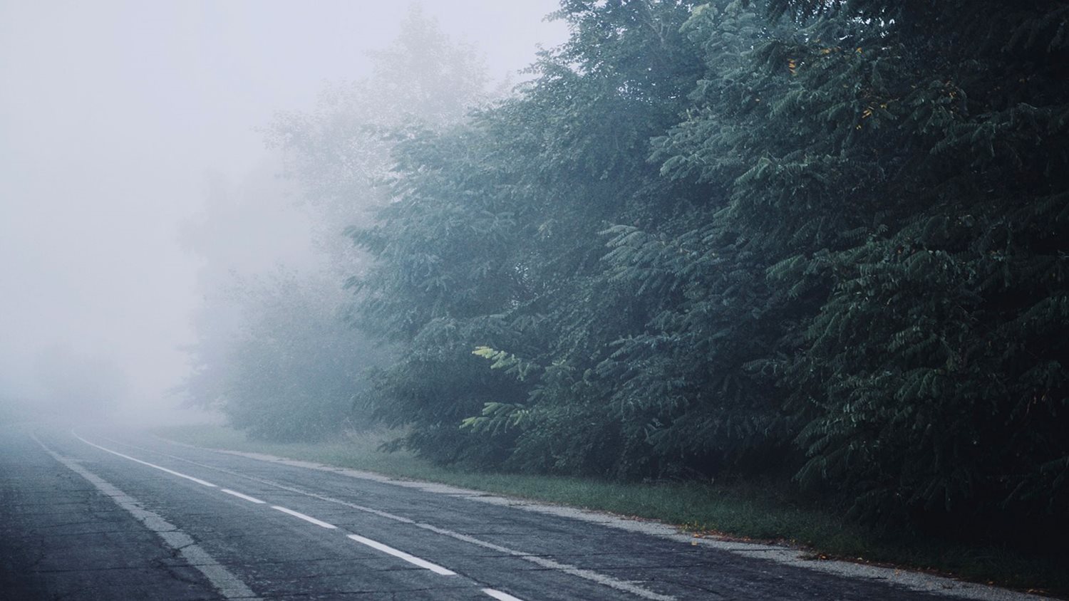 How to Drive Safely in Fog | WeatherBug