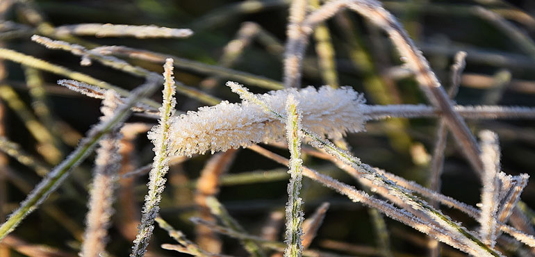 All About Cold-Related Alerts | WeatherBug