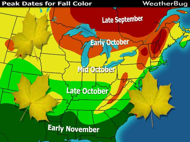 Foliage Update: Foliage Season Coming To An End | WeatherBug | WeatherBug