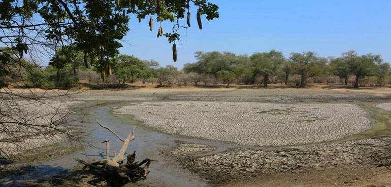 Malawi Follows Zambia In Declaring Drought Disaster As El Niño Brings ...