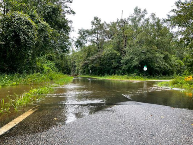 Excessive Rainfall: Where Does It Most Frequently Occur? | WeatherBug