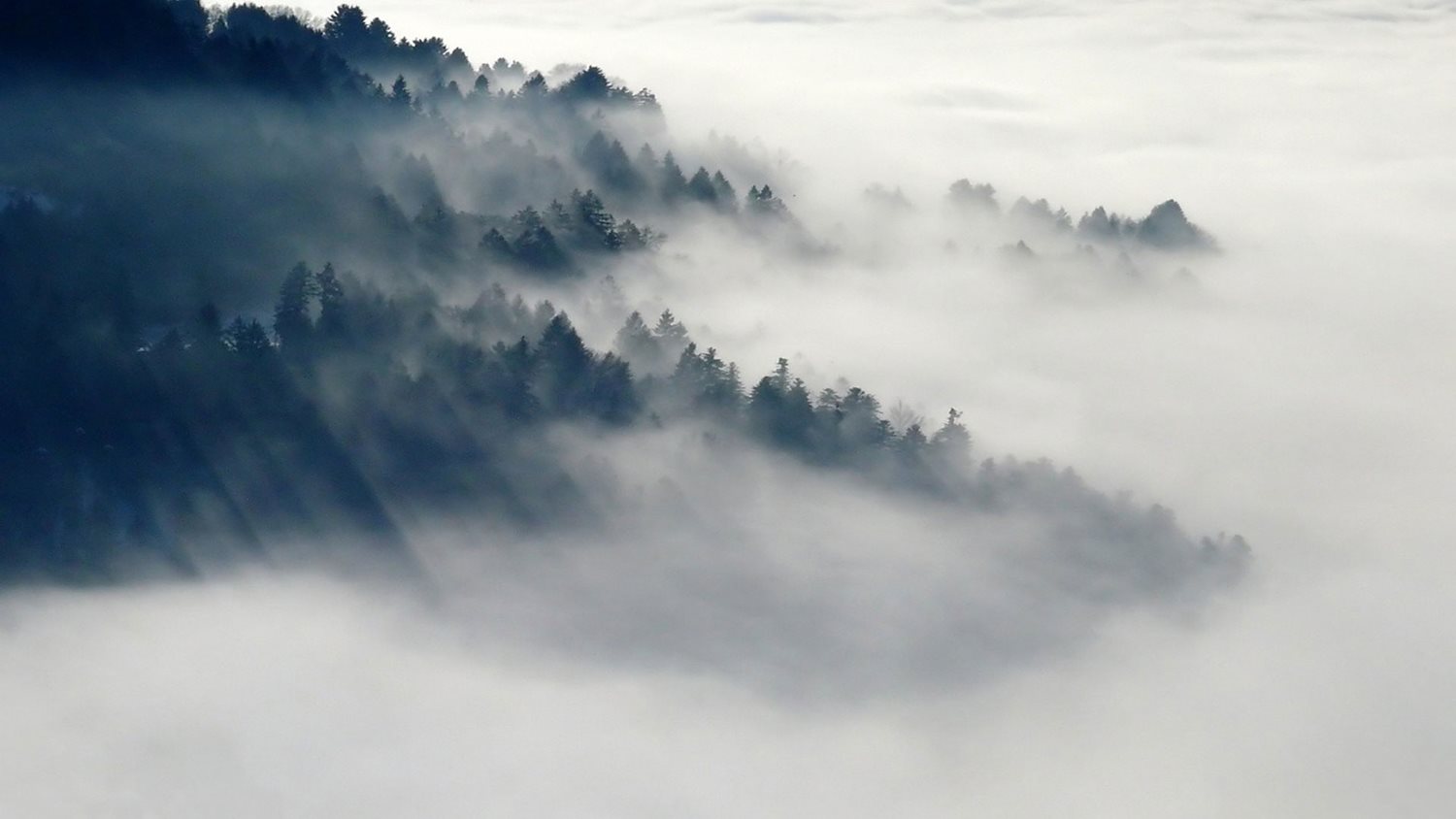 How Does Fog Form WeatherBug how-does-fog-form-weatherbug