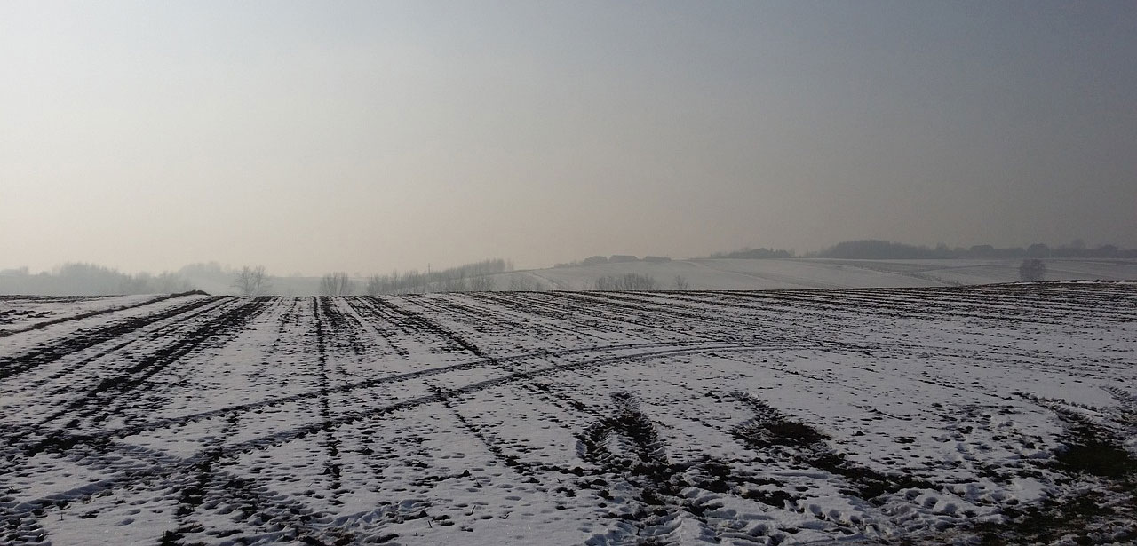 January's Central Forecast Overview | WeatherBug
