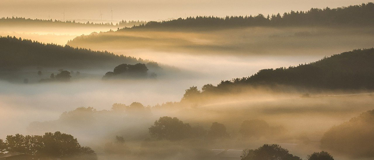 The Different Types of Fog & How It Forms | WeatherBug | WeatherBug