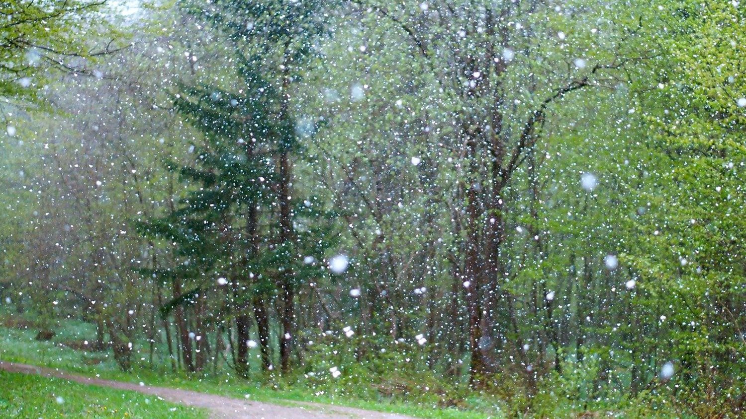 Winter Forecasting: Variations and Uncertainty | WeatherBug | WeatherBug