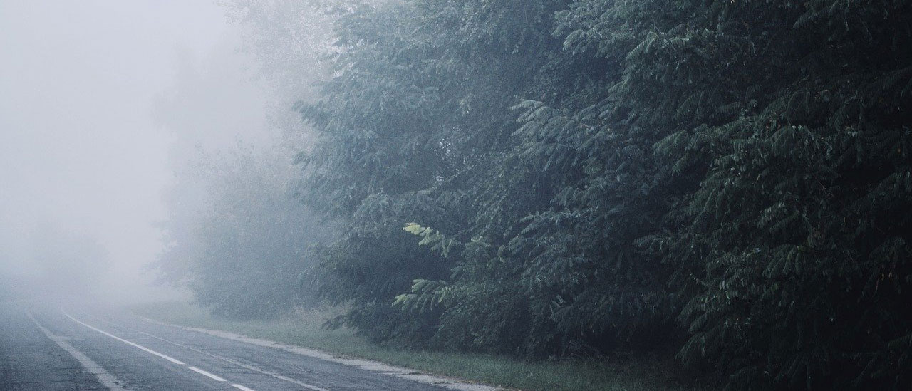 Fog Advisories: What Do They Mean? | WeatherBug