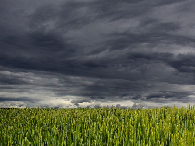 March: Significance of the Lion-Lamb Folklore | WeatherBug | WeatherBug