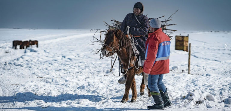 Heavy Snows and Drought of Deadly 'Dzud' Kill More than 7 Million Head ...
