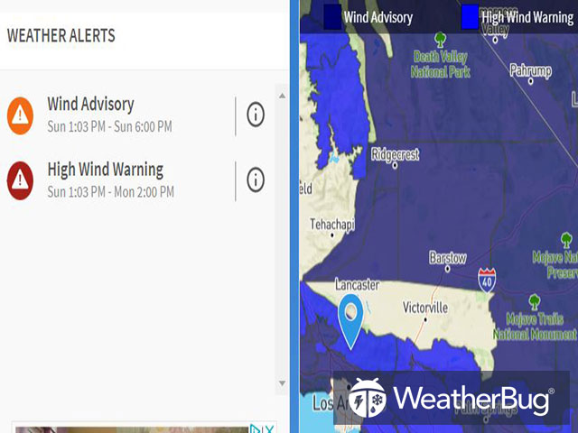 The Windy Season: How To Stay Alert During Gusty Times | WeatherBug